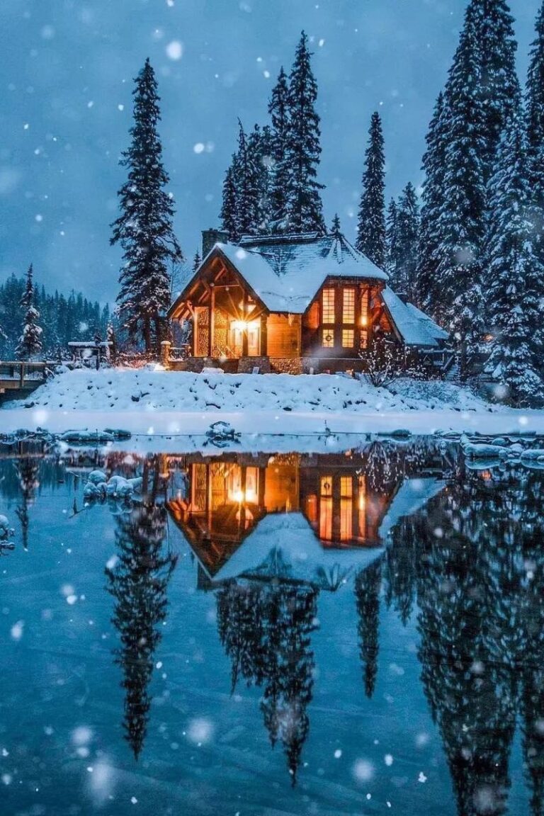 Ultimate Hard Christmas Trivia Questions and Answers: 2025 Quiz