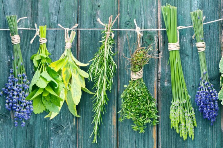 25 BEST Alcohol Trivia Questions and Answers: 2025 Quiz